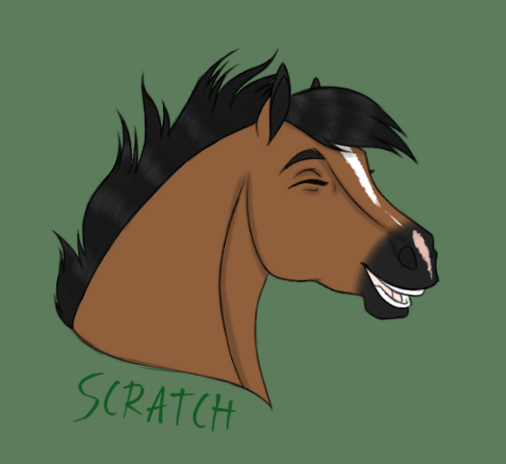 Scratch Headshot - Request - ibisPaint