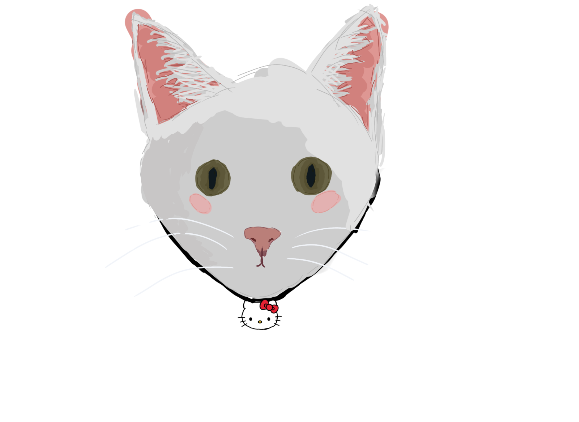 cat with hello kitty collar - ibisPaint