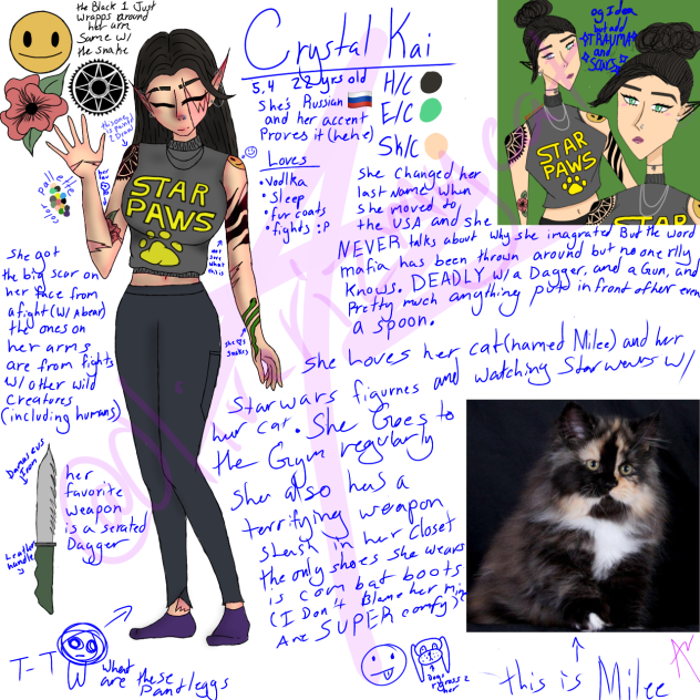 Crystal Kai (finished ref sheet) - ibisPaint