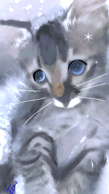 My Cat Mayo - ibisPaint