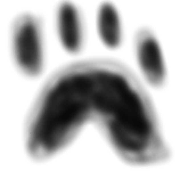 Paw Print - ibisPaint