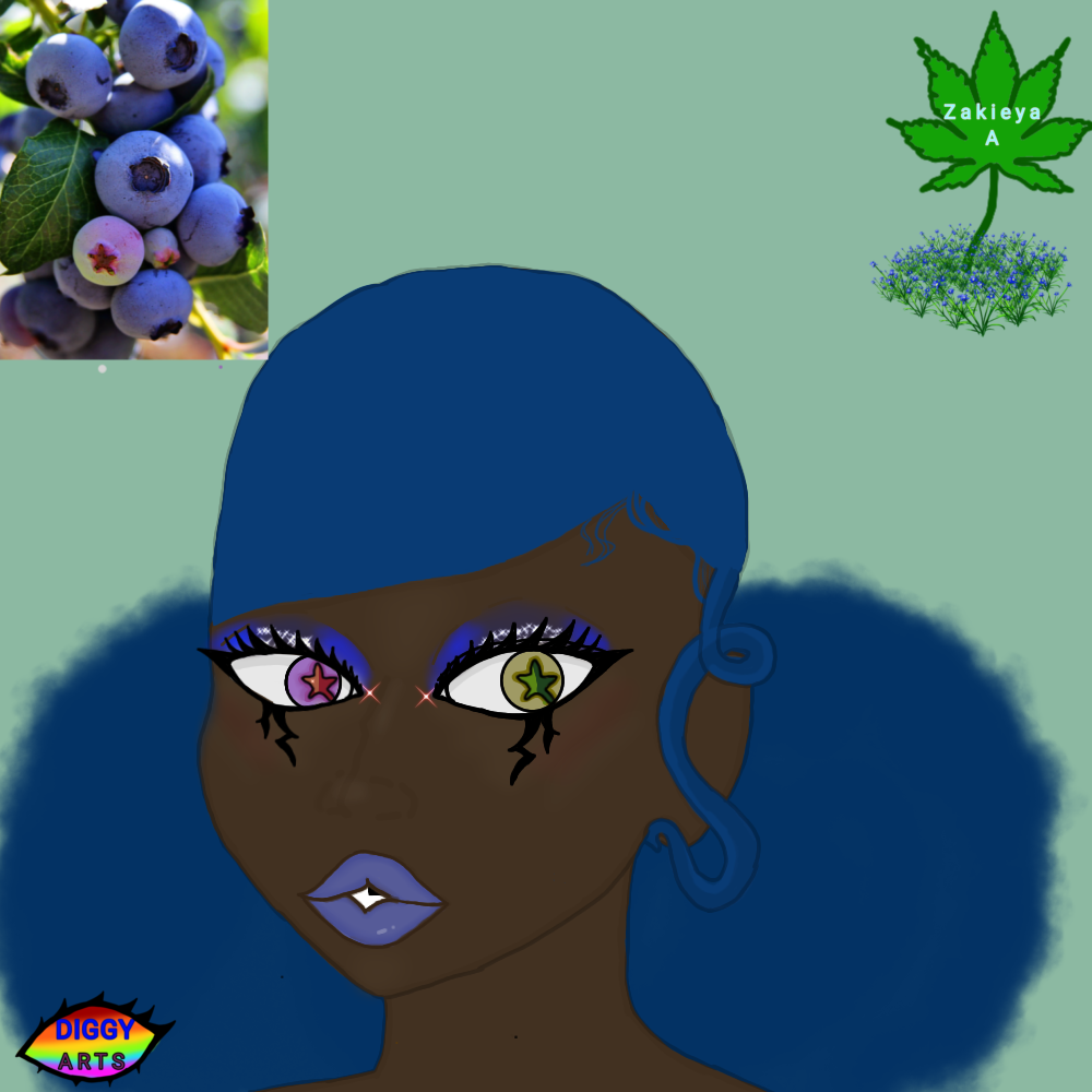 blueberry as a girl - ibisPaint