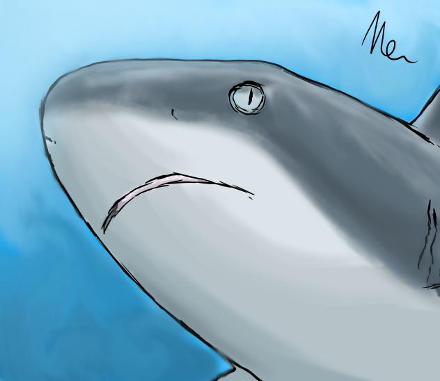 Shark realism attempt - ibisPaint