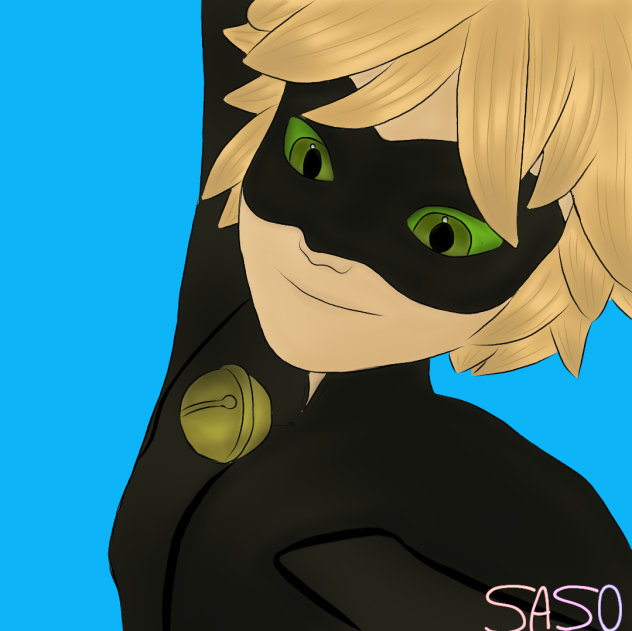 cat noir - ibisPaint