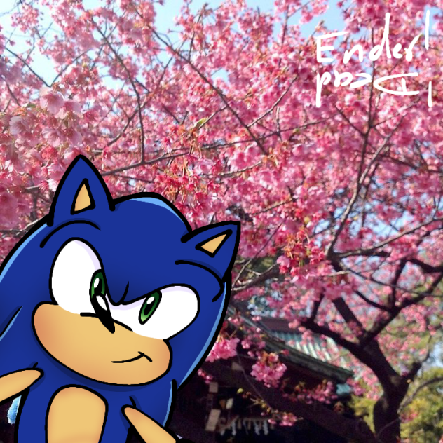 Sonic Peluche - ibisPaint