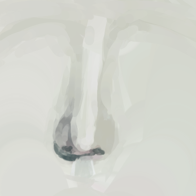 nose코 - ibisPaint