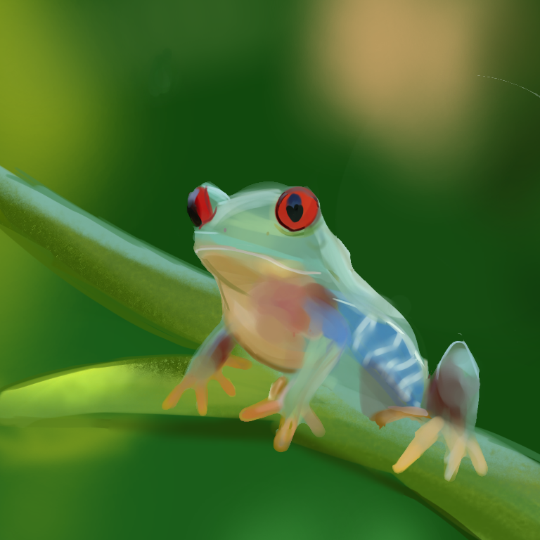 Frog - ibisPaint