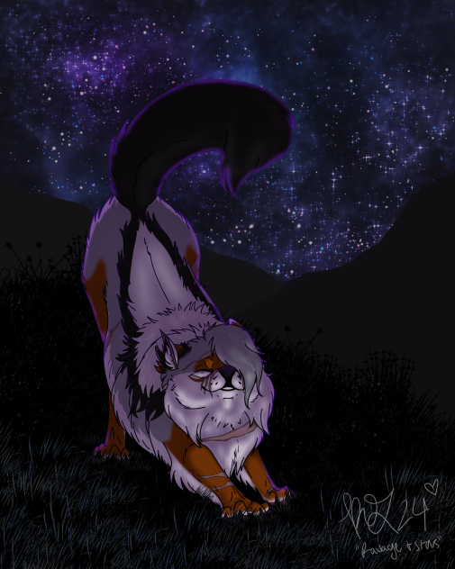 Ravage and Stars - ibisPaint