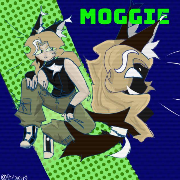 The midnight Moggie - ibisPaint