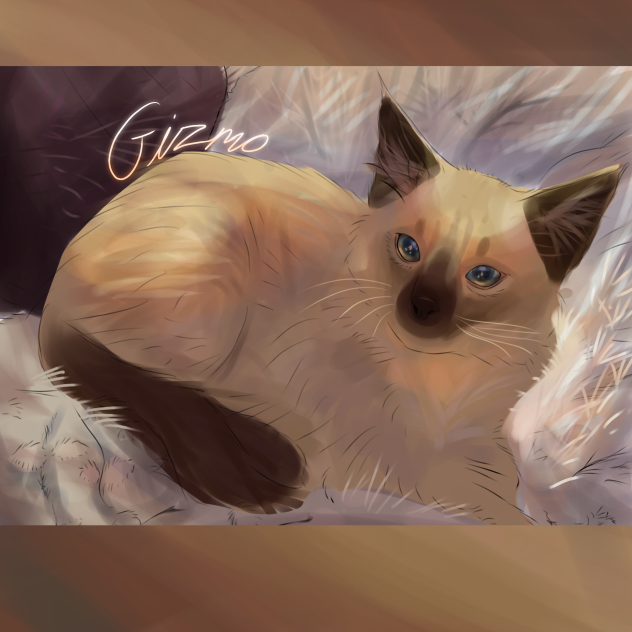 My Cat (Gizmo) !FLASH! - ibisPaint
