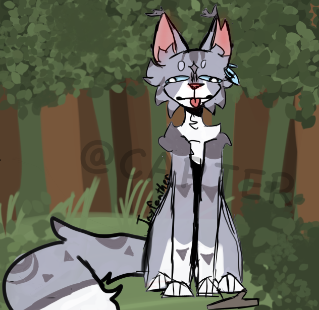 Jayfeather - ibisPaint