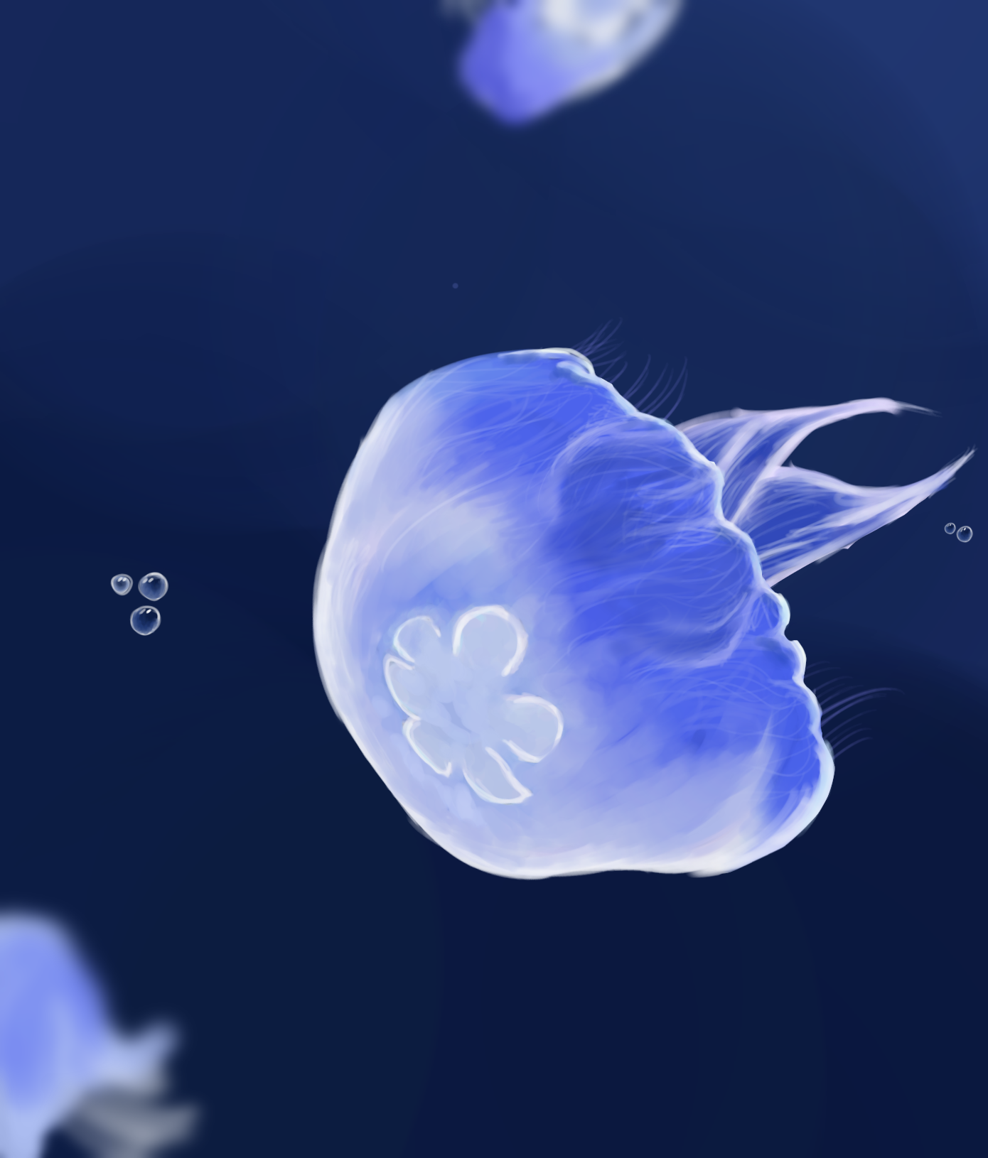 Jellyfish! 🪼 - ibisPaint