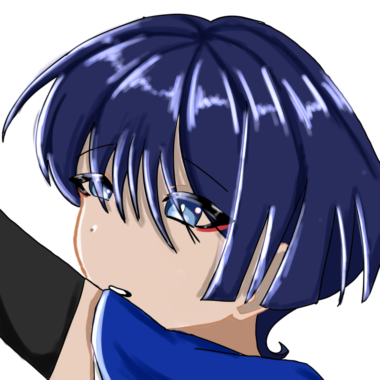 Wanderer - ibisPaint