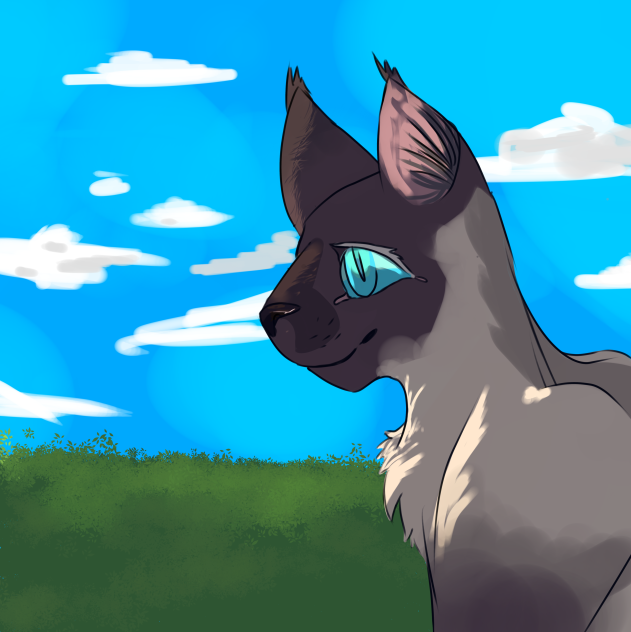 Siamese Cat - ibisPaint