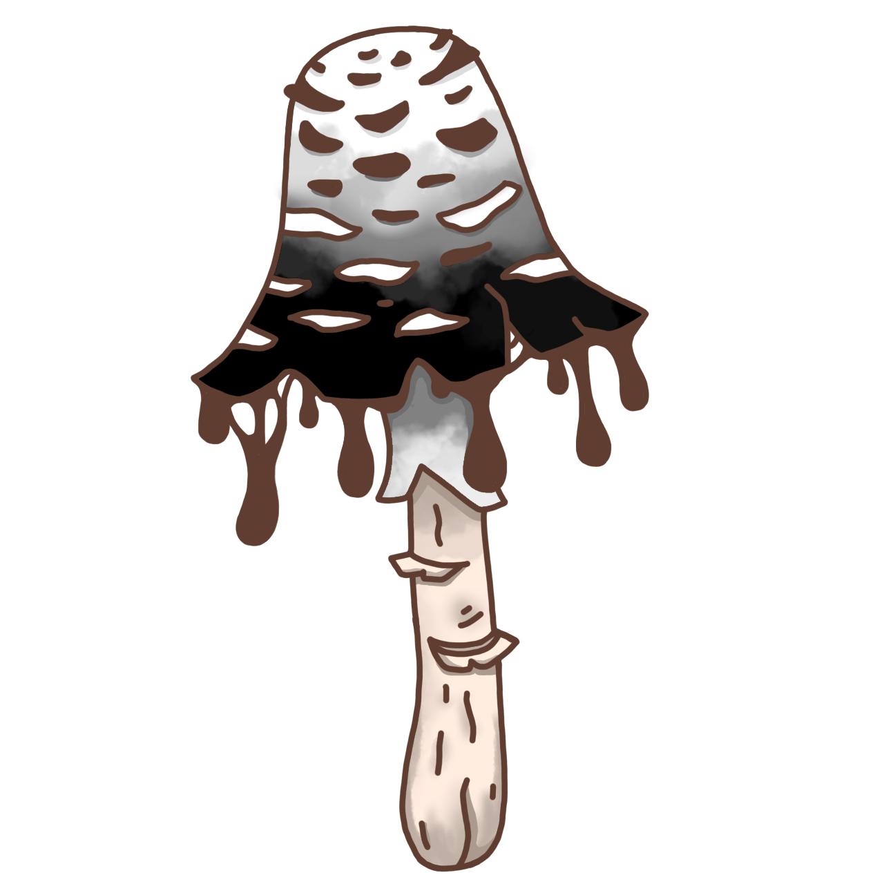 Inky cap mushroom V1 - ibisPaint