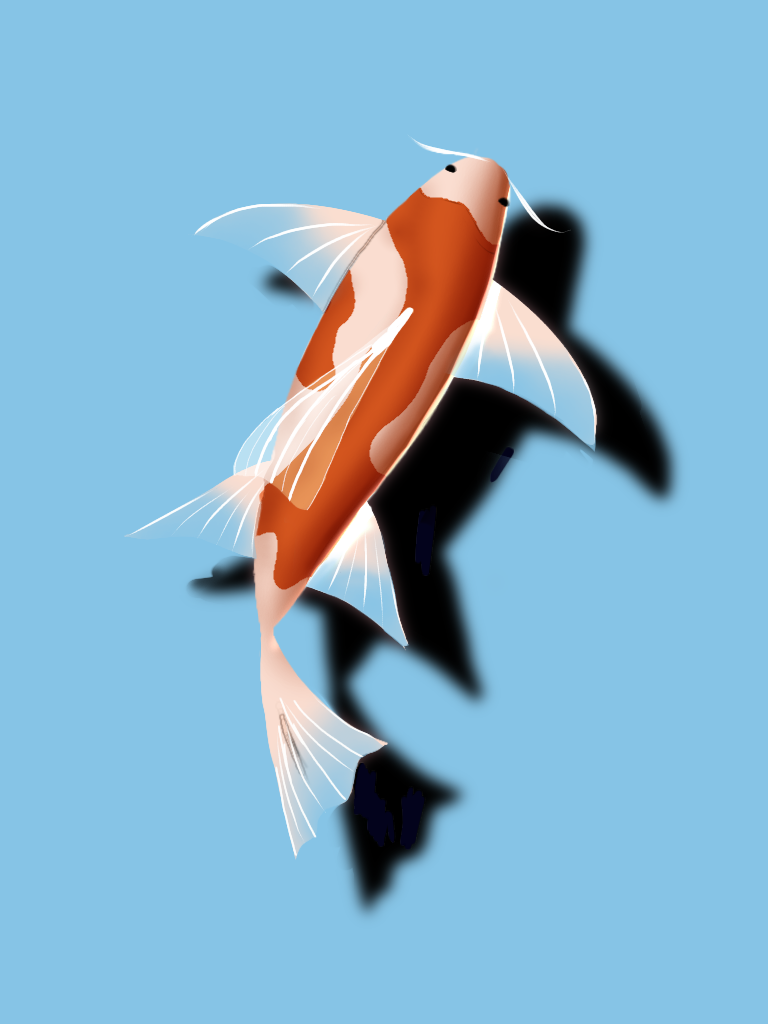 Koi Fish🐟 - ibisPaint