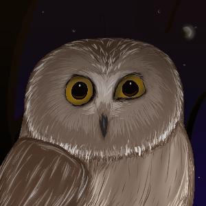 Saw Whet Owl - ibisPaint
