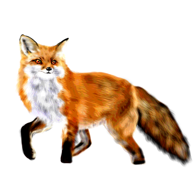 Fox 2nd version - ibisPaint