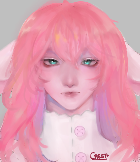 headshot - ibisPaint