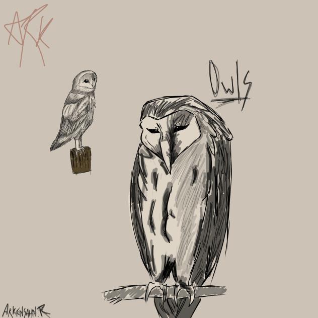 Owls - ibisPaint