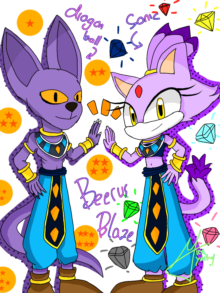 Blaze and Beerus - ibisPaint
