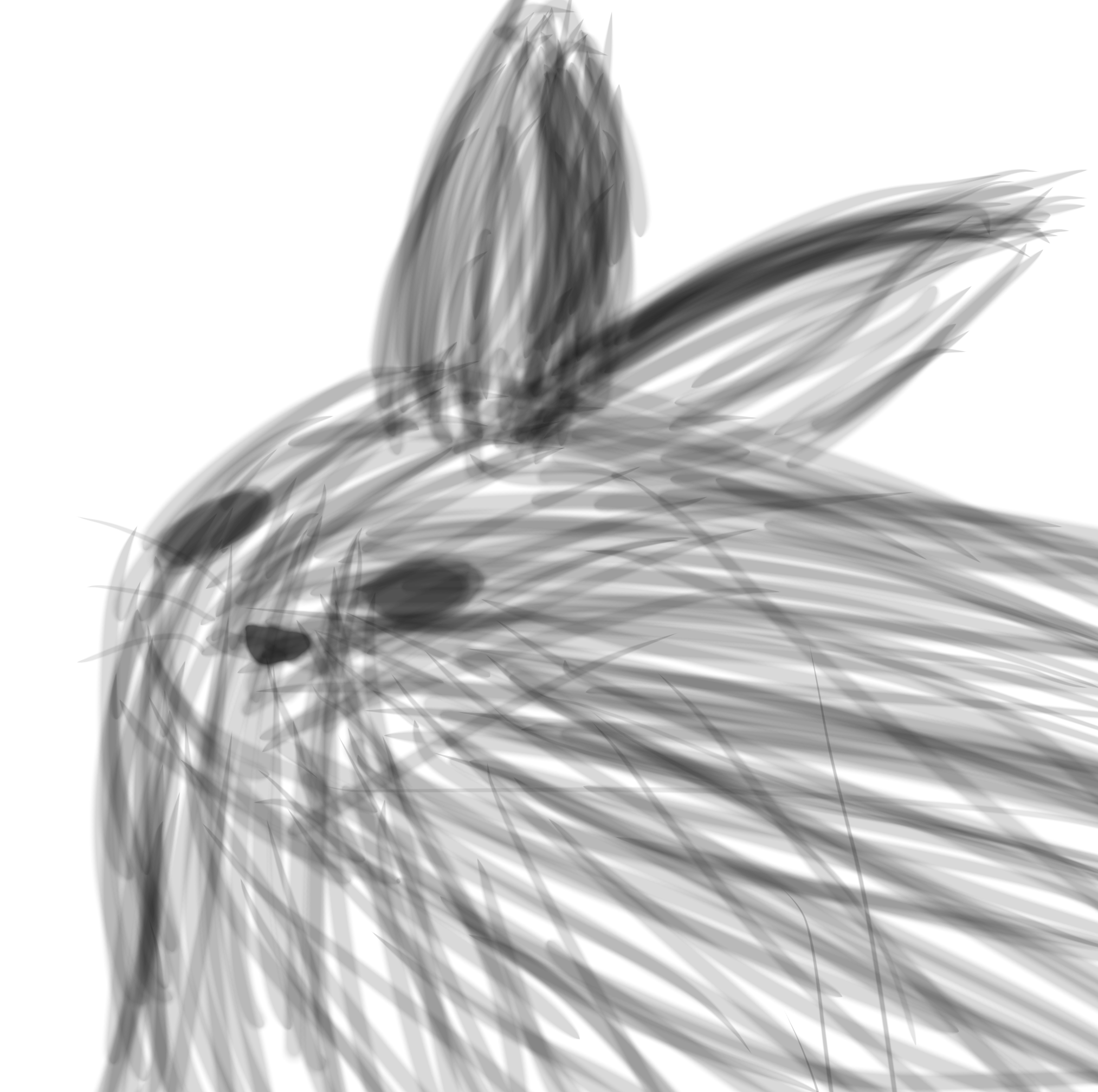 scribble bunny - ibisPaint