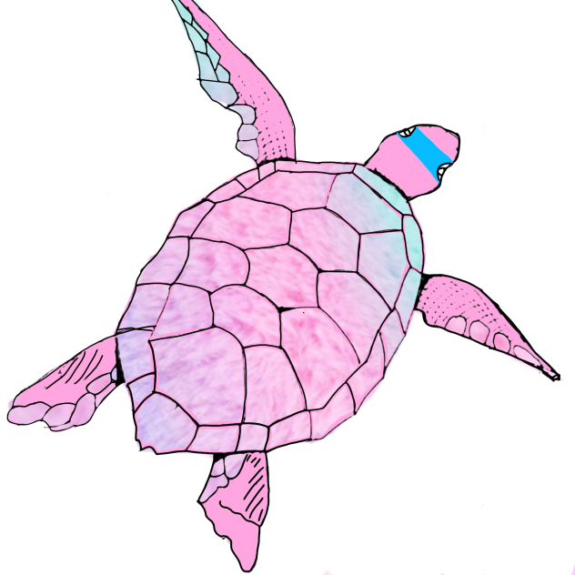 Turtle - ibisPaint