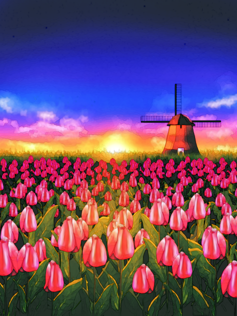 Tulip field (Sunset) 2nd version - ibisPaint