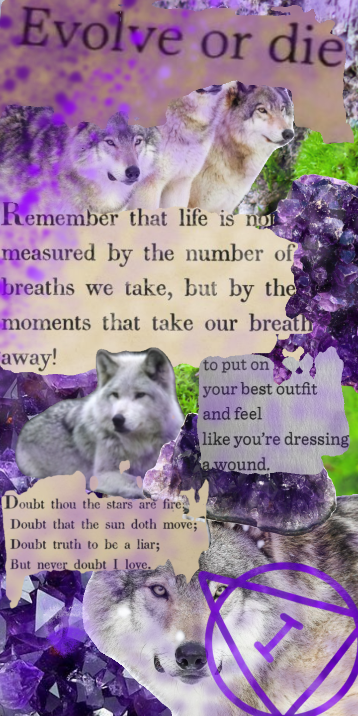 grey wolf collage - ibisPaint