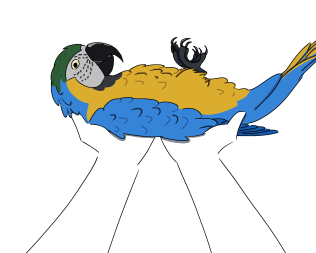 POV ur got handed a treasure - ibisPaint