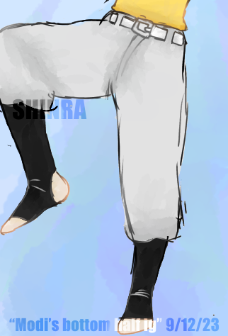 Modi’s bottom half ig - ibisPaint