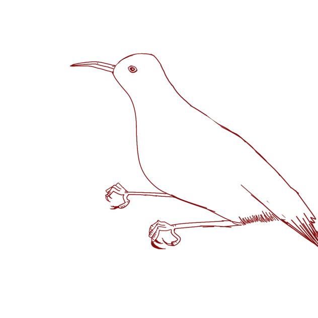 unfinished line sketch - ibisPaint