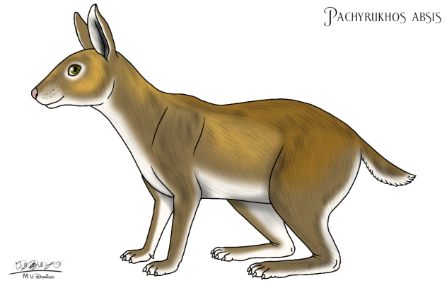 Pachyrukhos absis - ibisPaint