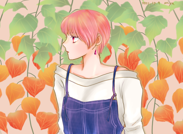 A ground cherry - ibisPaint