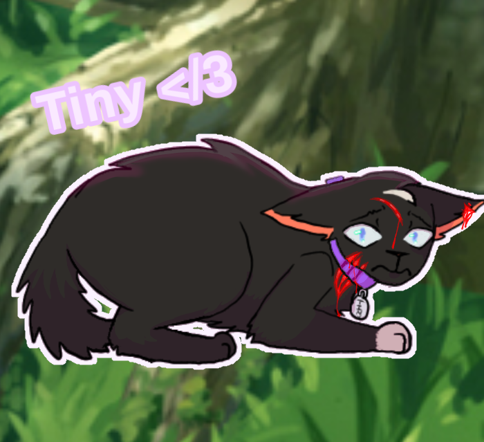 tiny. - ibisPaint