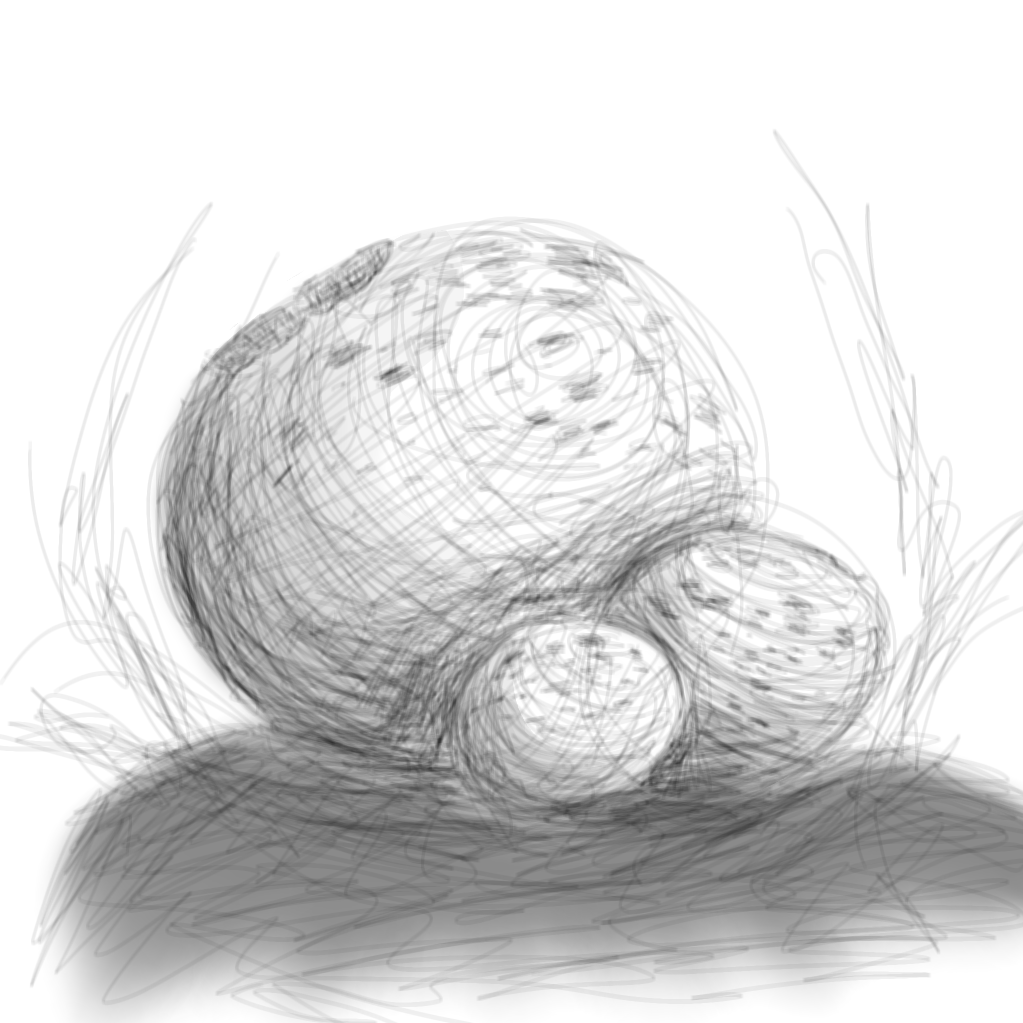 Puffball mushroom - ibisPaint