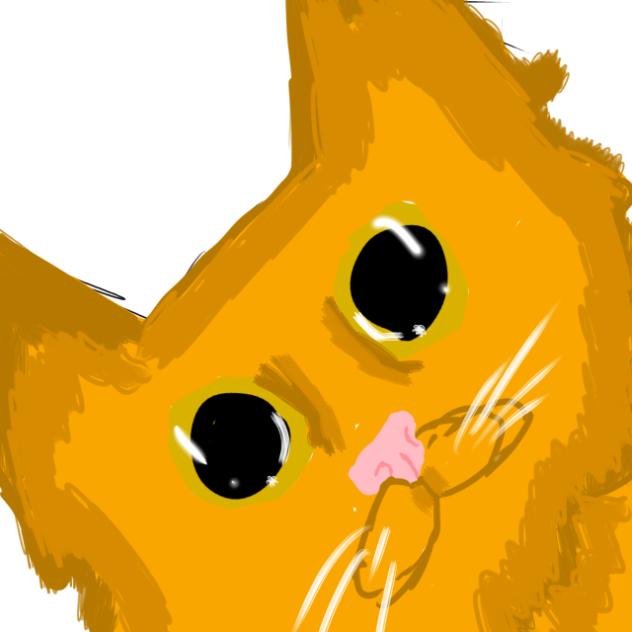 !!first animation aka cat!! - ibisPaint