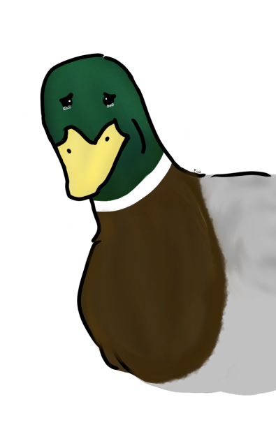 duck - ibisPaint