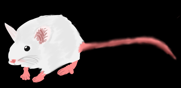 Mouse - ibisPaint