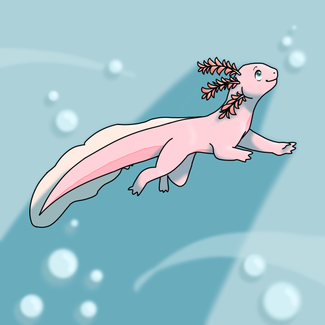 AXOLOTL - ibisPaint