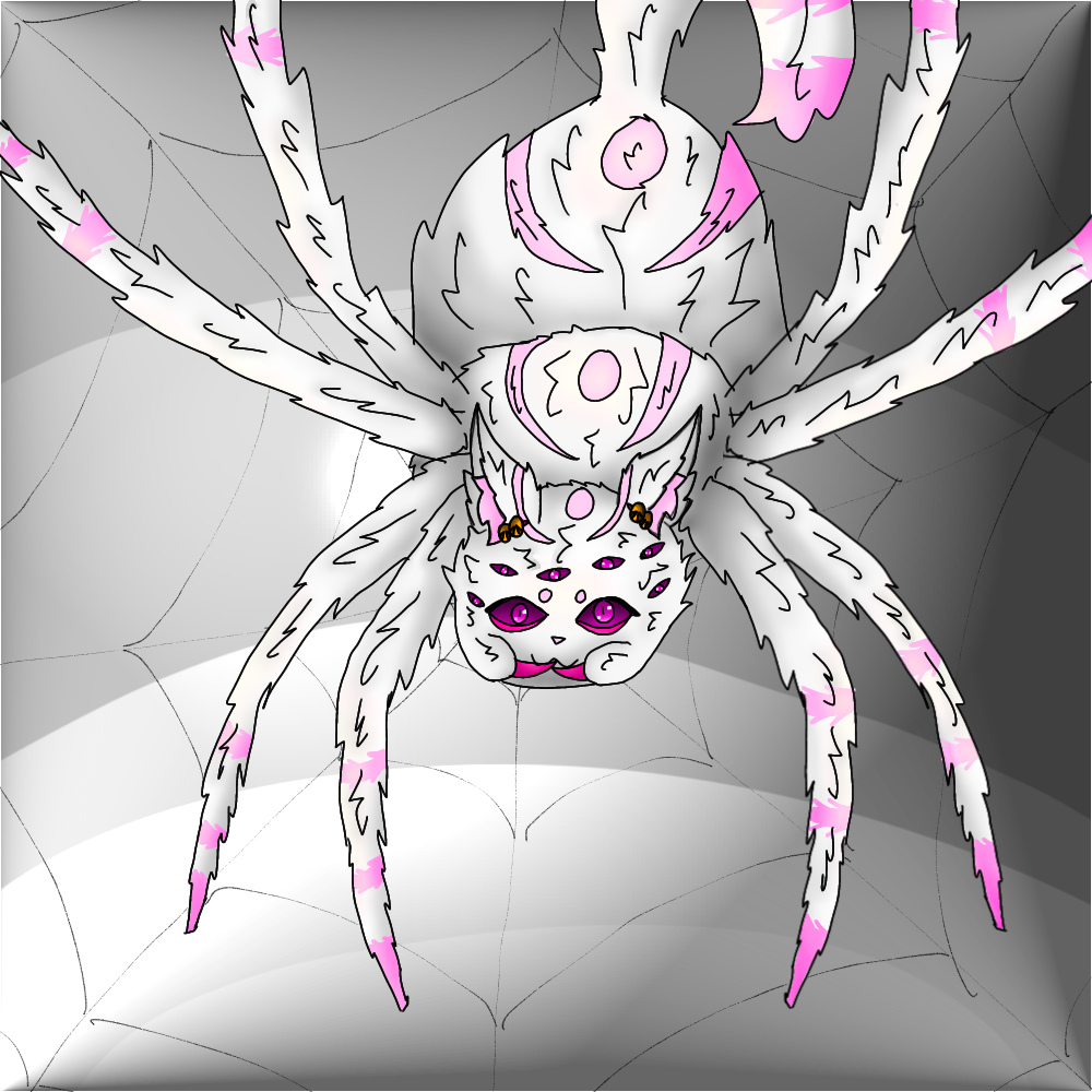 spider cat - ibisPaint