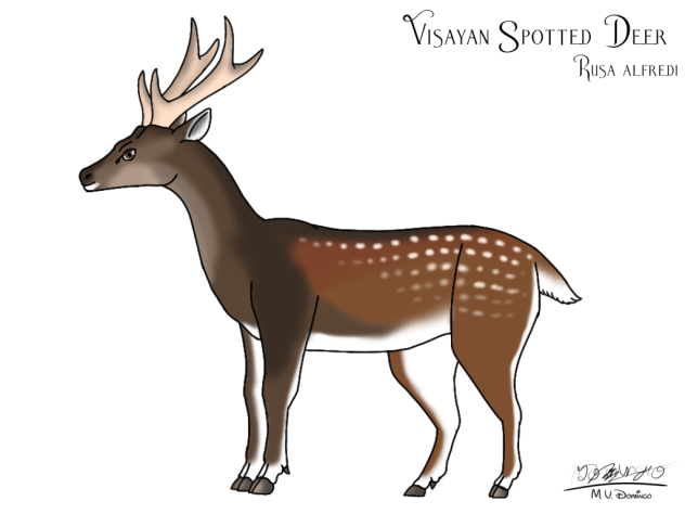Visayan Spotted Deer - ibisPaint