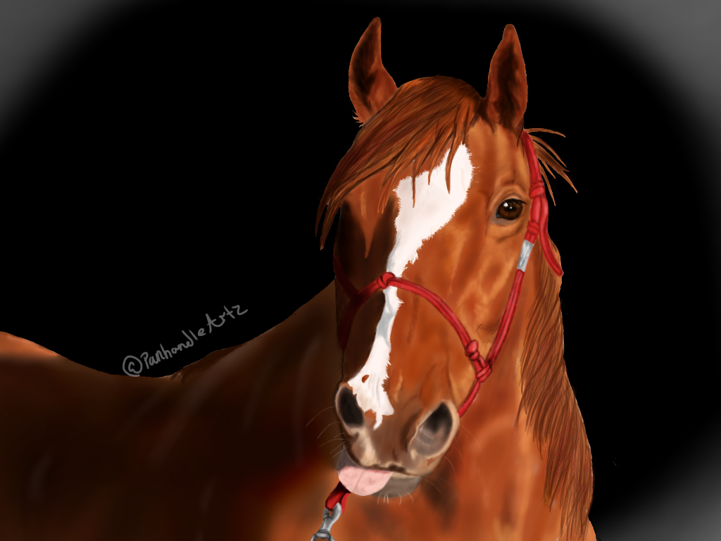 Sorrel horse - ibisPaint