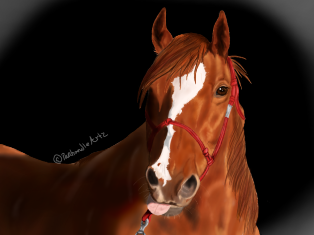 Sorrel horse - ibisPaint