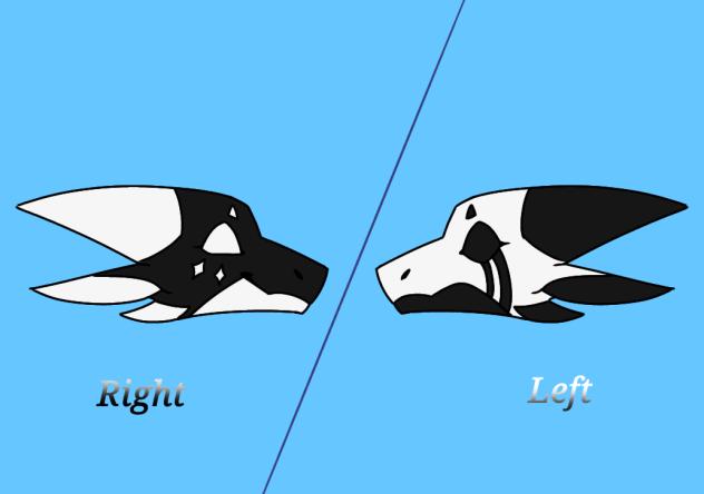 dragon puppet designnnn! - ibisPaint