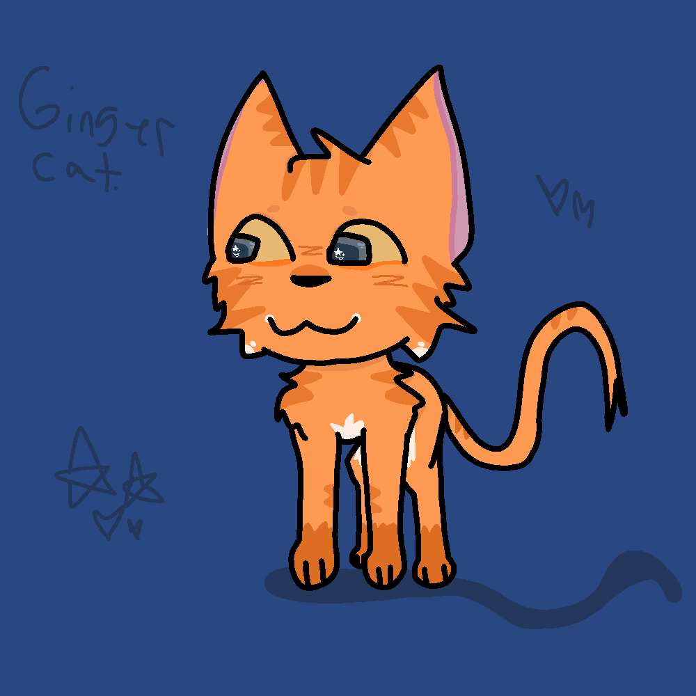 Ginger cat. - ibisPaint