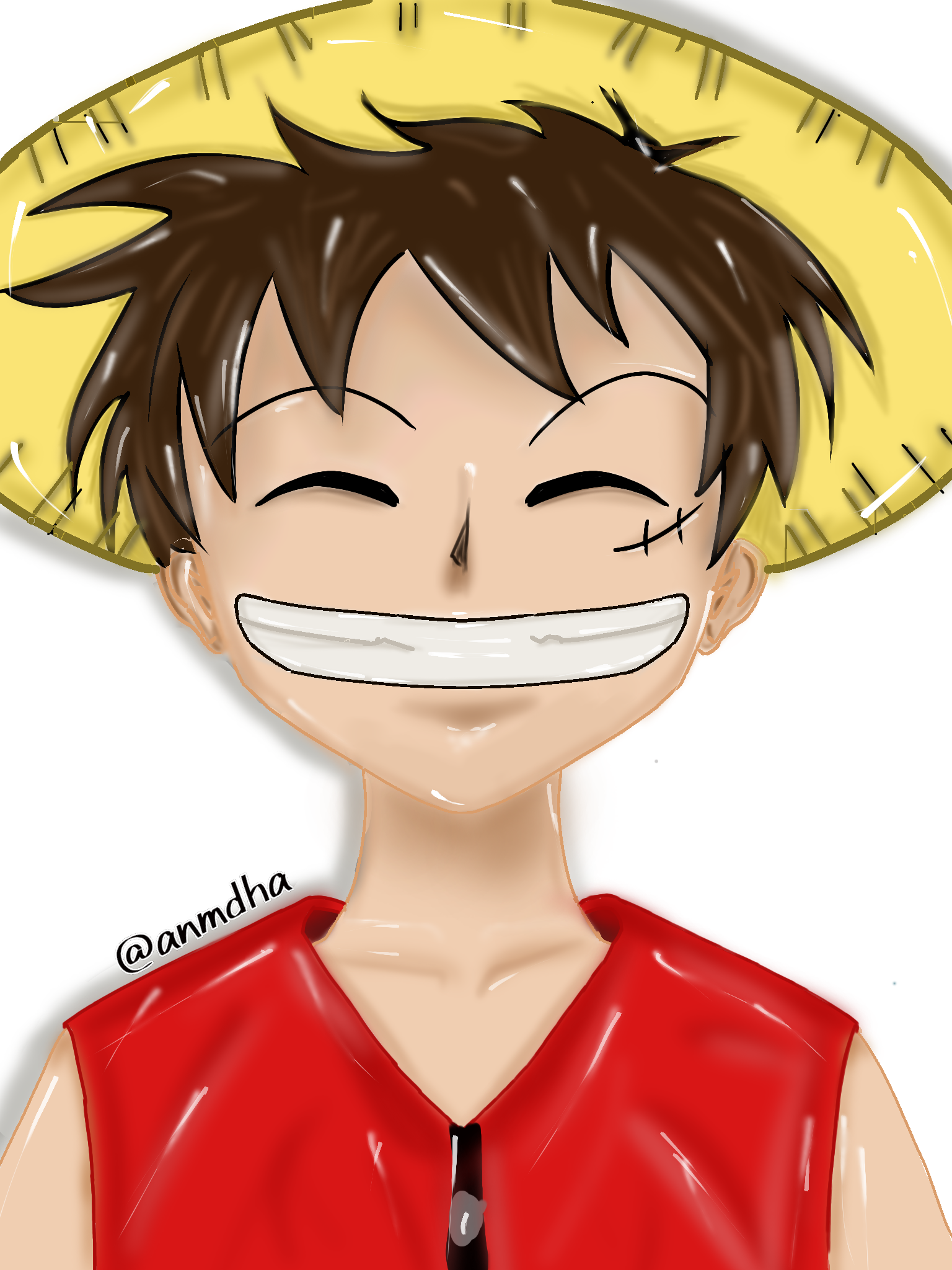 Monkey Dluffy - ibisPaint