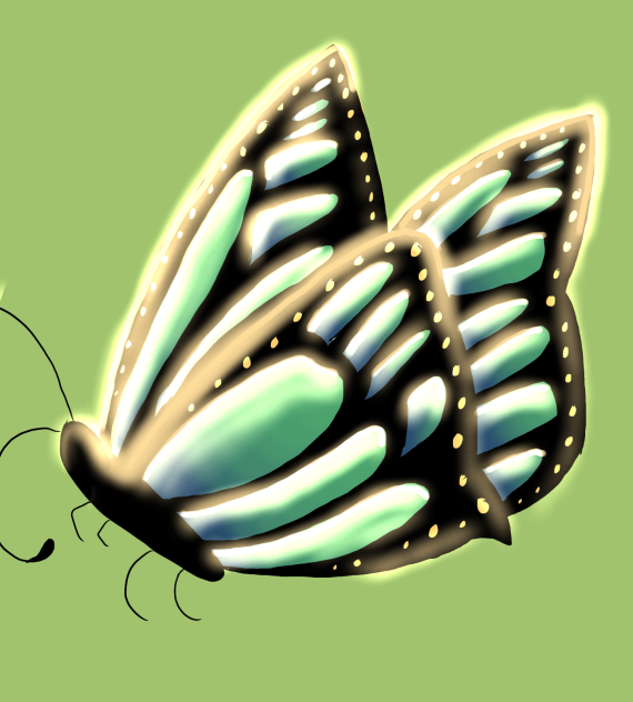 butterfly - ibisPaint