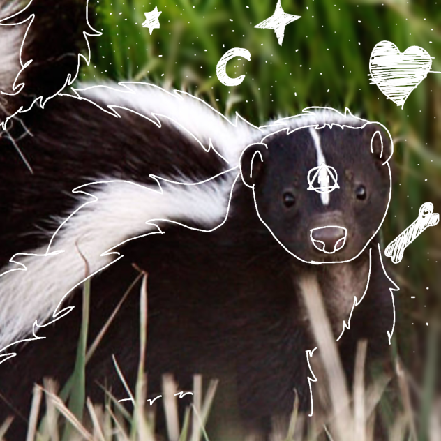 Skunk! Therian - ibisPaint
