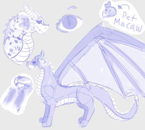 Rainwing Sketch - ibisPaint